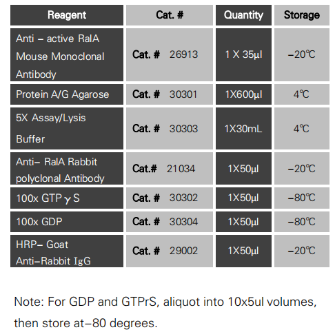 RalA Activation Assay Kit