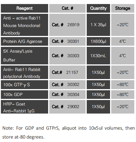 Rab11 activation assay kit活性检测试剂盒